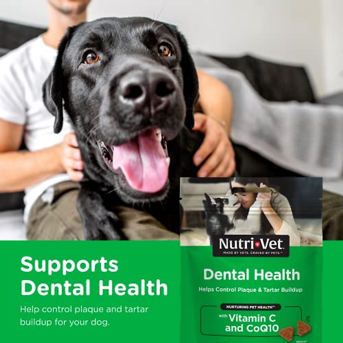 Nutri-Vet Dental Health Soft Chews for Dogs | Helps Control Plaque and Tartar Buildup | Natural Hickory Smoke Flavor | 70 Count