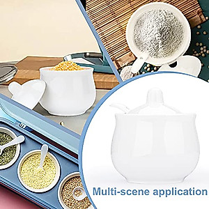 Swetwiny Porcelain Sugar Bowl with Lid and Spoon, Ceramic Salt Storage Jar, White Seasoning Container for Home and Kitchen, 7 Ounces (White)
