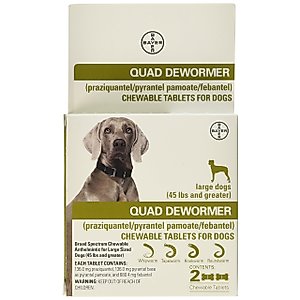 Bayer Animal Health Quad Dewormer for Large Dogs (Over 45 lbs) 2 Chewable Tablets