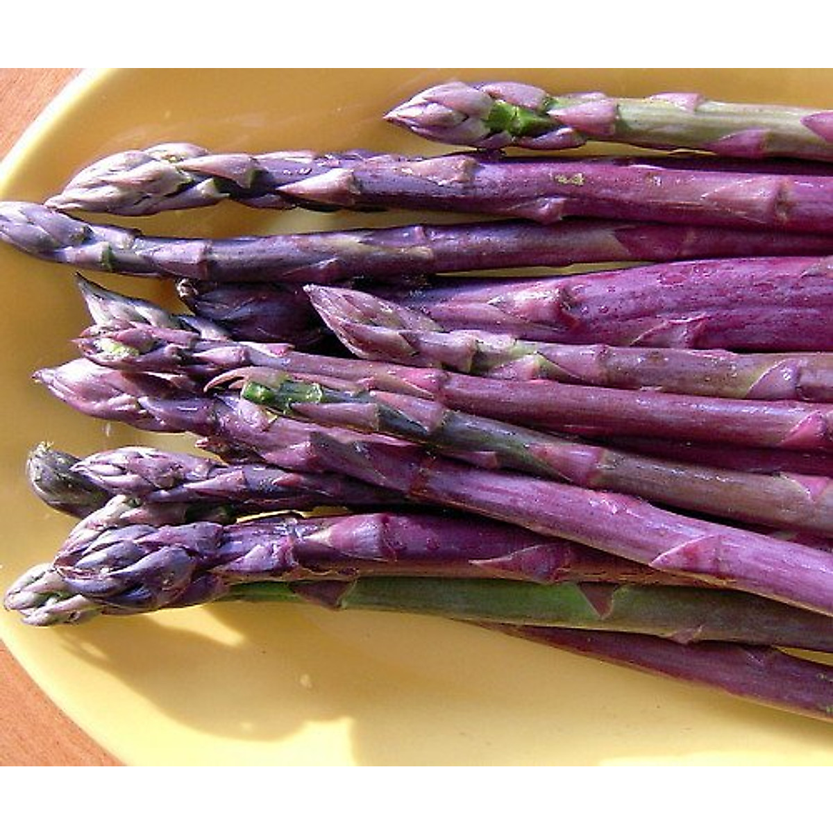 Purple Passion Asparagus 10 Roots - Passion in The Garden - Heirloom/No GMOs
