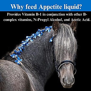SU-PER Appetite Supplement for Horses - Equine Appetite Booster Liquid Feed Supplement - Vitamin Support for Healthy Appetite - 1 Quart, (2 Pack)