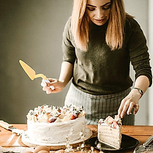 Cabilock Pie Spatula Dessert Spatula Dessert Cutter Professional Cake Pie Pastry Server Dessert Server Cake Cutter Wedding Cake Cutting for Cake Cheese Pie Pizza Pie Scooper Cheese Cutter Pie Scooper