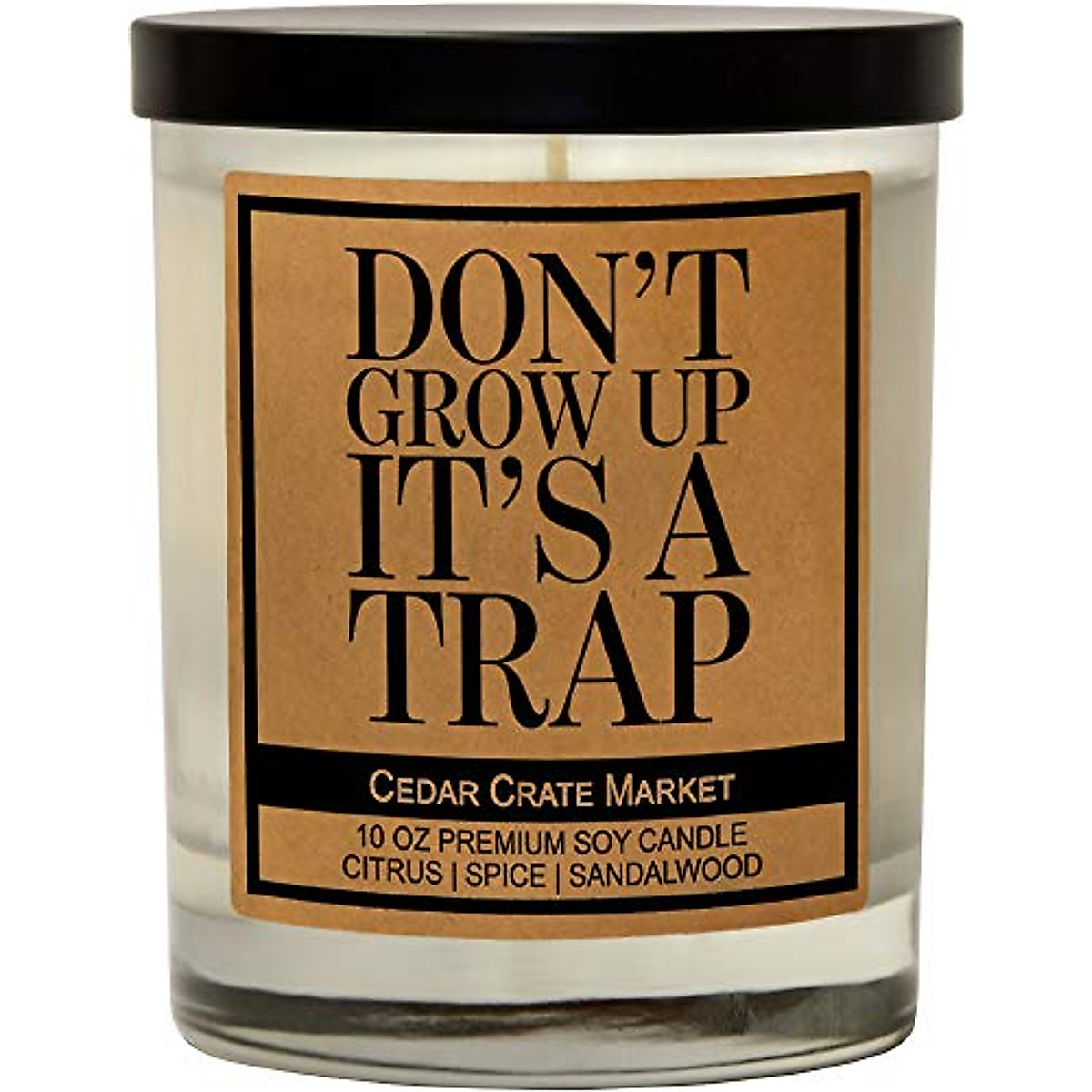 Don't Grow Up It's A Trap, Kraft Label Scented Soy Candle, Citrus, Spice, Sandalwood, 10 Oz. Glass Jar Candle, Made in The USA, Decorative Candles, Funny and Sassy Gifts
