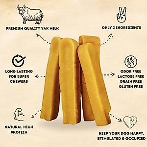 Back 40 Dogs Himalayan Yak Cheese Dog Chews – Long-Lasting Natural Chews for Aggressive Chewers – 2-Ingredient, High Protein, Odorless, Dental Health Treats for Dogs (Large, 4 Pack)