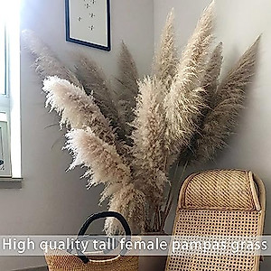 Save 53% Instantly on Combined Orders of 10PCS 47In Tall Natural Pampas Grass and 2 Bundles of 200 Stem & 2 Dried Lavender Sachets for Home Boho Decor