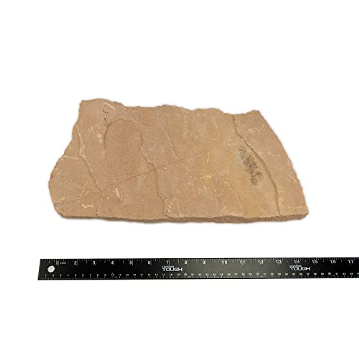 Carolina Custom Cages Natural Habitat Rocks, Painted Desert (one Large Size)