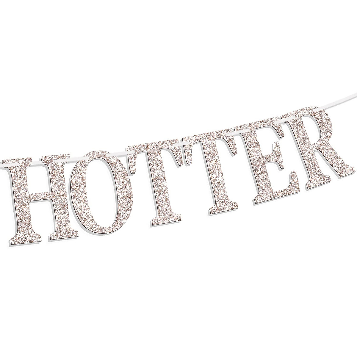 Rose Gold Glitter Older Wiser Hotter Banner, Death to My Youth 30th Birthday Banner Decorations, Funny 30th Birthday Party Decorations for Women