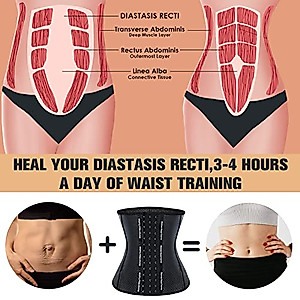 YADIFEN Corset Waist Trainer for Women, Latex Waist Cincher Workout Body Shaper Breathable Girdle Sport Belt