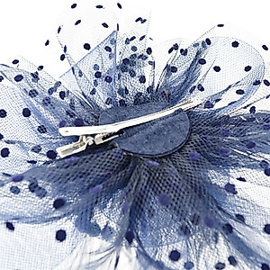 DRESHOW Fascinators Hat Flower Mesh Ribbons Feathers on a Headband and a Clip Tea Party Headwear for Girls and Women