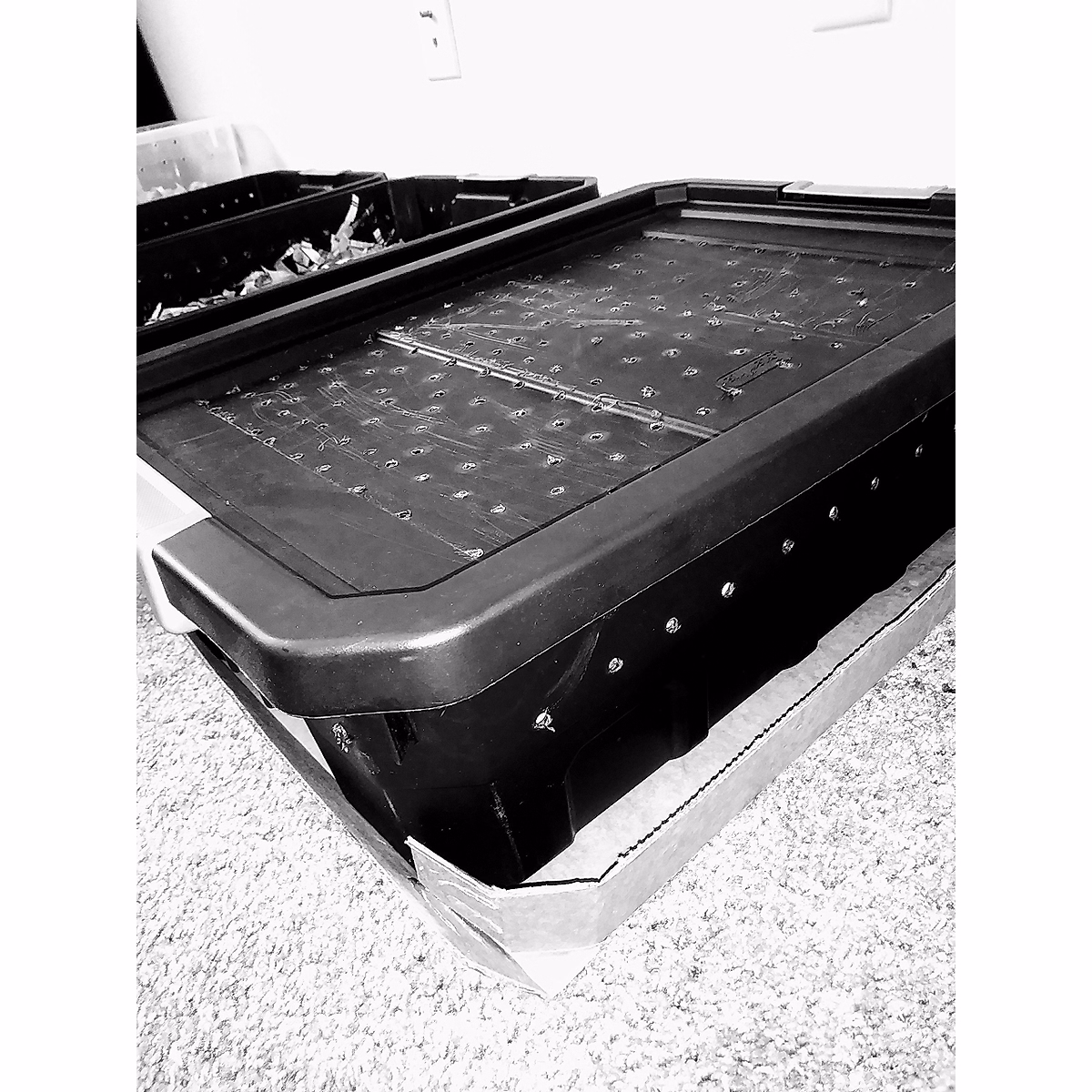 Ready to go Starter Worm bin with Bedding