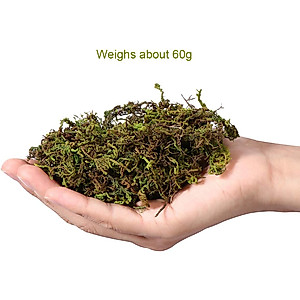 BESPORTBLE 60g Lifelike Artificial Moss Plants Fake Green Lichen Fake Lichen Green Plants for Home Garden Patio Decoration