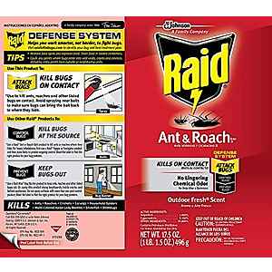 Raid Ant and Roach Killer Outdoor Fresh, 17.5 OZ (pack of 3)