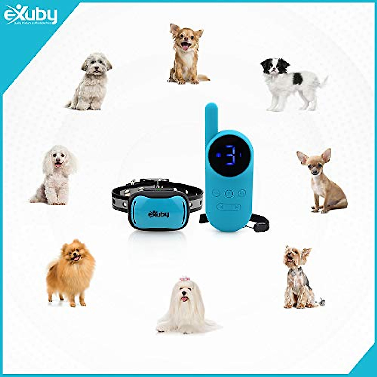 eXuby - Tiny Shock Collar for Small Dogs 5-15lbs - Smallest Collar on The Market - Sound, Vibration, & Shock - 9 Intensity Levels - Pocket-Size Remote - Long Battery Life - Water-Resistant (Teal)