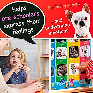 Dealing in Feeling Chart -Autism Learning Materials That can be Used with The Zones or as a Kids Poster for Emotional Regulation-Feelings Check-in Emotions Poster