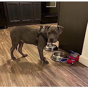 PUPTECK No Pull Dog Harness Soft Adjustable Basic Nylon Step in Puppy Vest Outdoor Walking with ID Tag X-Small