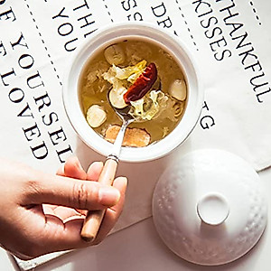 Operitacx Ceramic Stew Pot with Lid and Spoon Japanese Small Steam Soup Bowl Steaming Cup Serving Dish Seasoning Jar for Cereal Rice Chili Beef Stew Medicinal Birds Nest Egg Custard Appetizer