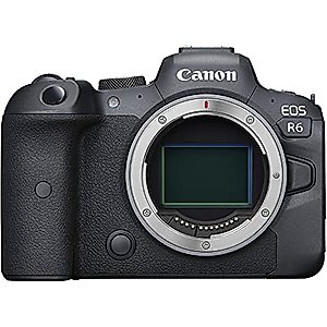 Camera Bundle for Canon EOS R6 Mirrorless Camera with RF 24-105mm f/4-7.1 is STM Lens, 3 Batteries, LED Light, 256Gb High Speed Memory Card + Accessories Kit (Renewed)