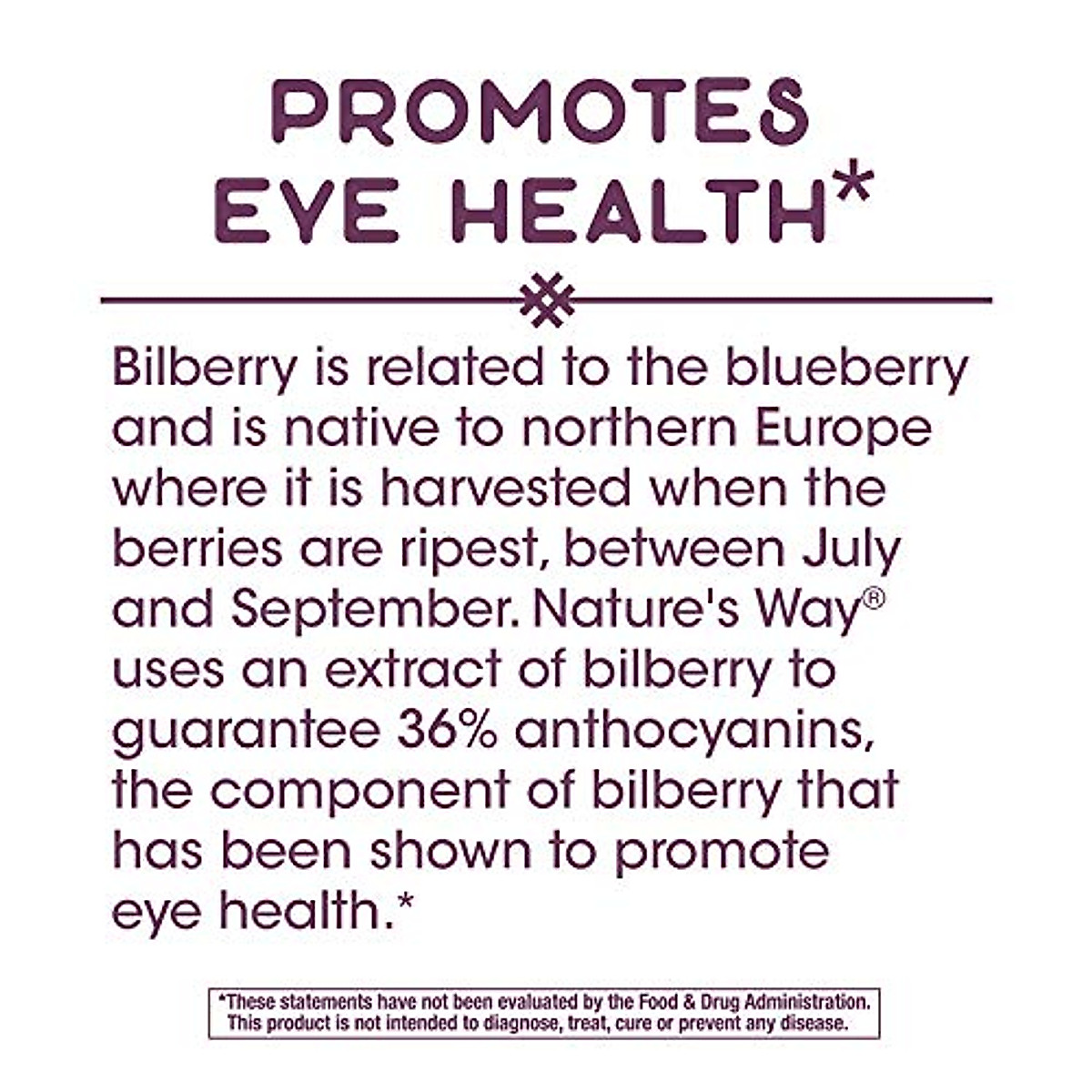 Nature's Way Premium Extract Bilberry 36% Anthocyanins 160 mg Potency 60 Vcaps