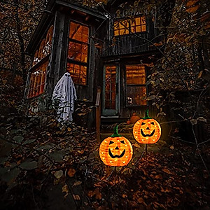 PLTCAT Solar Halloween Pumpkin LED Lights, Set of 2 Pumpkin Stake Lights 2 Modes for Outdoor Halloween Pathway Yard Garden Decoration