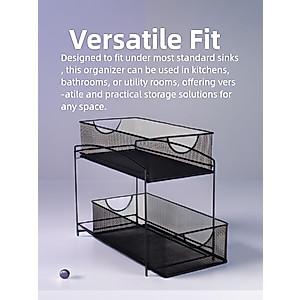 IBERG 2 Tier Under Sink Organizers and Storage - Sliding Bathroom Organizer - Kitchen Cabinet Organizer (Black)