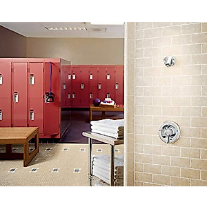 Moen 8290 Commercial M-Dura Vandal Resistant Showerhead, 2.5 gpm, Chrome