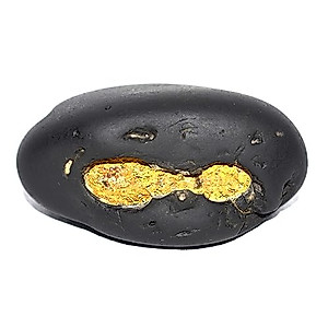 Rudrakshguru Laxmi Narasimha Shaligram - Gandaki River Nepal