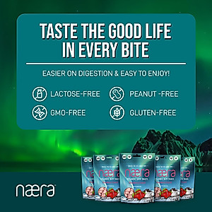 Næra Icelandic - 5-Pack Strawberry (Icelandic Skyr) Crunch Protein Snacks, GMO-Free, Gluten-Free Protein Snacks, Lactose-Free Individual Snacks, Snacks for Adults & Kids, (0.88 oz ea)