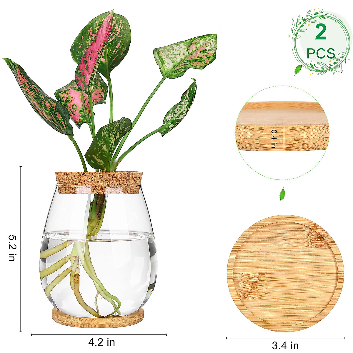 onepeng Propagation Stations, 2 Pcs Glass Planters with Wooden Tray & Lid, 5.2x4.2 inches, for Hydroponic Plants, Home Decor, Gardening Gifts for Women