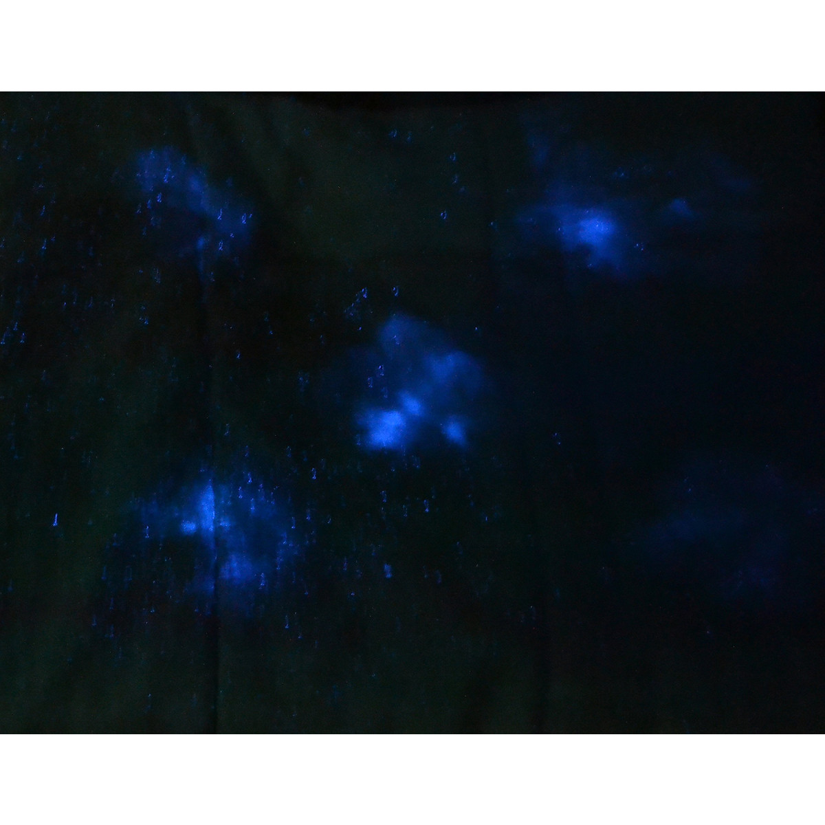 ALDON Innovating Science Chemiluminescence in Blood Stain Detection Forensic Kit