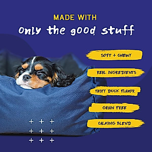 PupGrade 2-Pack Skin & Coat and Anxiety Chews for Dogs - Coat Care & Allergy Defense Supplement with Natural Fish Oils - Natural Muscle Relaxant - 120 Chews