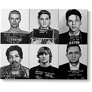 Kurt Cobain, Elvis Presley, Jimi Hendrix, David Bowie, Frank Sinatra, Johnny Cash Poster Canvas Framed, Celebrity Mugshot Poster, Mugshot Wall Art (16"x20")