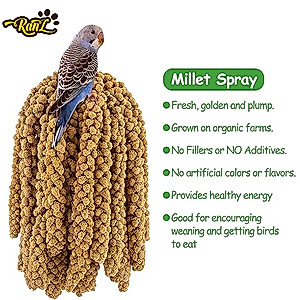 RANZ 5LBS Millet Spray for Birds, GMO-Free, Sun Dried Spray Millet, Original Bird Treats & Supplement for Parrots, Cockatiels, Lovebirds, Painted Buntings and Finches, Parakeets Food Millet