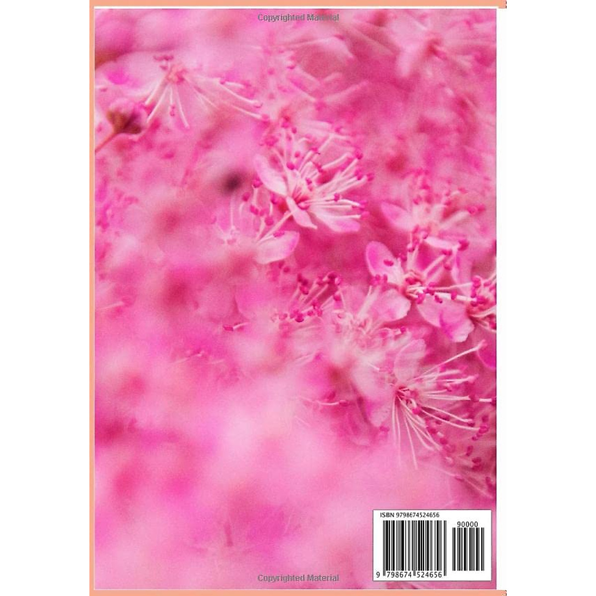 Checking Account Ledger: 7 column Payment Record and Tracker Log Book | Check Register for personal Checkbook | Personal Checking Account Balance Register | 100 pages | 7*10 inch