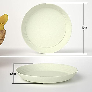 Gsinodrs Wheat Straw Plates 10 Inch (6 Pack), Light Weight Microwave Safe Plate -Unbreakable Deep Dinner Plates and Dishwasher Safe Plastic Plates Reusable for Kids Toddlers Adults, with 2 Sponges