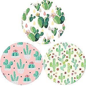 BeneGreat Cell Phone Stands for Phones and Tablets 3 Pack - Cactus Flower White Rose