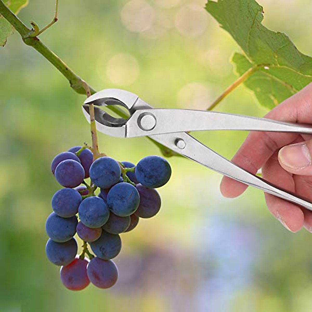 Qinlorgo Bonsai Branch Cutter Ergonomic Long Handle Resistant to Rust Garden Scissor Stainless Steel for Outdoor