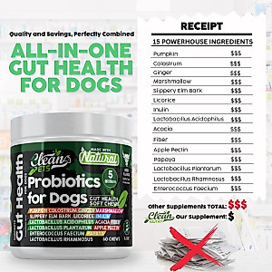 Gut Health Probiotics for Dogs with Pumpkin, Colostrum, Digestive Enzymes, Ginger, Slippery Elm, Licorice, Inulin Fiber & More | Beef Flavor Soft Chews Digestion Dog Supplement by Clean Pets
