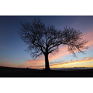 Tamron 10-24mm F/3.5-4.5 Di-II VC HLD Wide Angle Zoom Lens for Canon APS-C Digital SLR Cameras Black