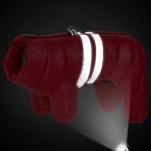 Didog Winter Puppy Dog Coat,Reflective Waterproof Windproof Dogs Cold Weather Jacket with Dual D Leash Ring, Warm Zip Up Pet Coats Clothes for Small Dogs & Cats Outdoor Walking, Red, Chest: 14”