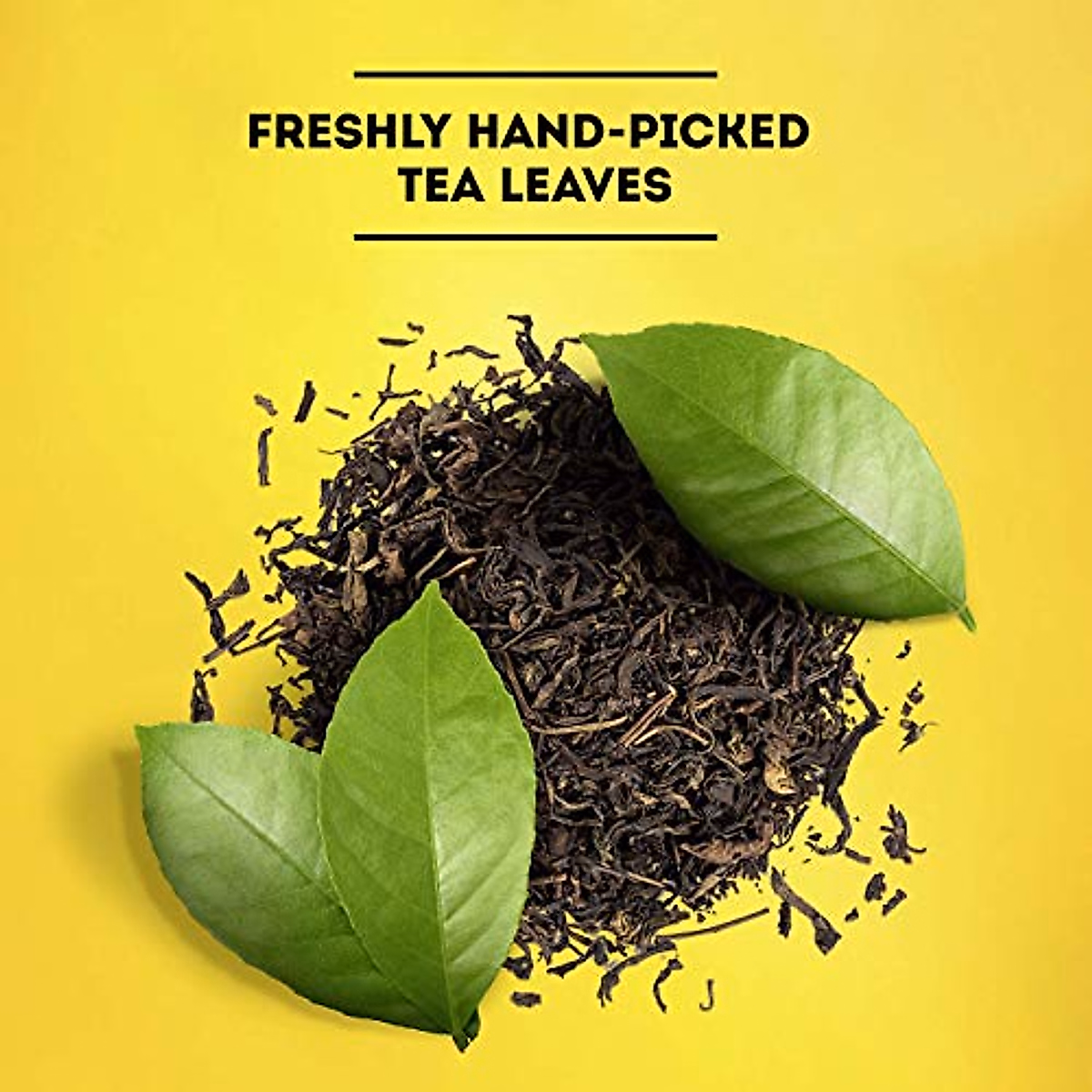 Lipton Unsweetened Iced Tea Bags, Family Size, 24 Count (Pack of 6)