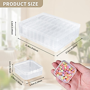 Bead Organizer Box, 30Pcs Small Clear Plastic Bead Storage Containers, 1 Craft Storage Box with Hinged Lid, 120 Labels, Mini Box for Jewelry Making DIY Bracelets Beading Nails Screws Seeds Small Parts