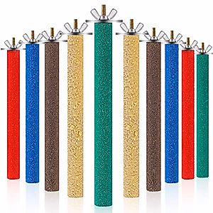 10 Pieces Bird Perch Stand Parrot Stand Paw Grinding Stick Parrot Perch Rough Surfaced Bird Cage Stand Colorful Wooden Parakeet Perch Bird Toys for Cockatiels Bird Cage Accessories