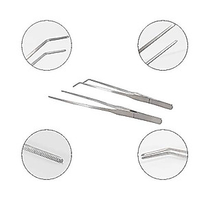 YOGURTCK Stainless Steel Long Reptile Tweezers Feeding Tongs for Snake Lizards Gecko and Bearded Dragon Leopard Spider Terrarium Supplies 2pcs - Silvery