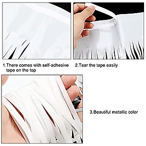 WILLBOND 6 Pieces 10 Feet Fringe Garland Foil Fringe Garland Metallic Tinsel Foil Garland Wall Hanging Fringe Banner for Wedding Birthday Parties Holiday Decorations and More (White)