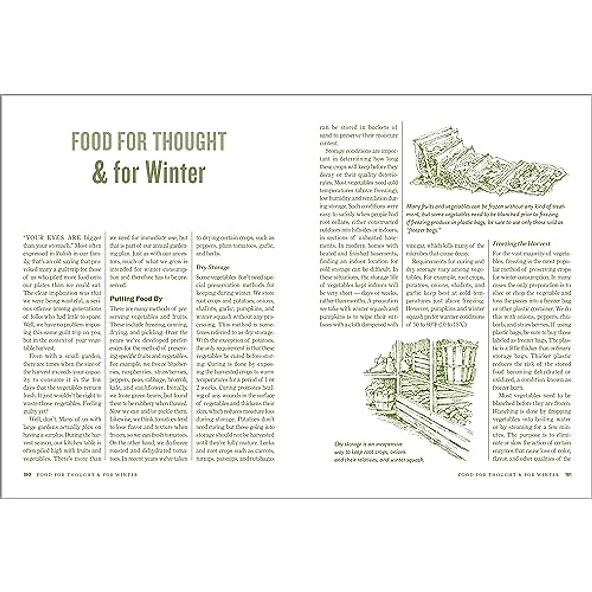 Week-by-Week Vegetable Gardener's Handbook: Perfectly Timed Gardening for Your Most Bountiful Harvest Ever