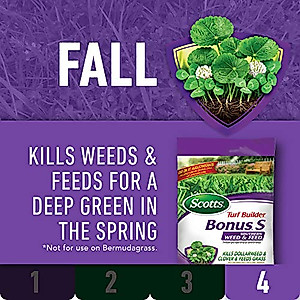 Scotts Lawn Care Plan for Small Yards (Southern)