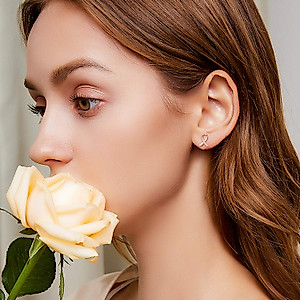 PEIMKO Breast Cancer Awareness Pink Ribbon Earrings, 925 Sterling Silver Breast Cancer Survivor Gifts for Women