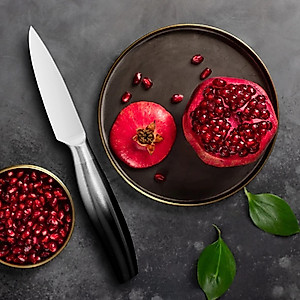 Knife Set, 12 PCS kitchen Knife Sets with Block, Stainless Steel 6 Steak Knives, Chef's Knife, Carving Knife, Santoku Knife, Bread Knife, Utility Knife and Paring Knife with Acrylic Stand, Black