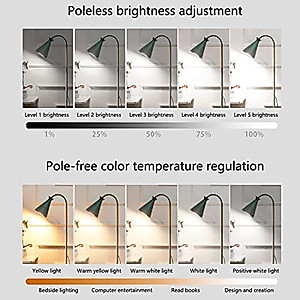 Gupuzm Gooseneck Floor Lamp Swing Arm Adjustable 360° Rotating Metal Bracket Lamp, Indoor Reading Lighting Dimming Floor Lamp Minimalist Style, Suitable for Living Room,Study, Bedroom, Office