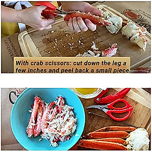 Multi-Function Kitchen Shears Seafood Scissors for Kitchen Seafood,Fish,Crab,Shrimp,Lobster,Vegetable picking,flower art etc